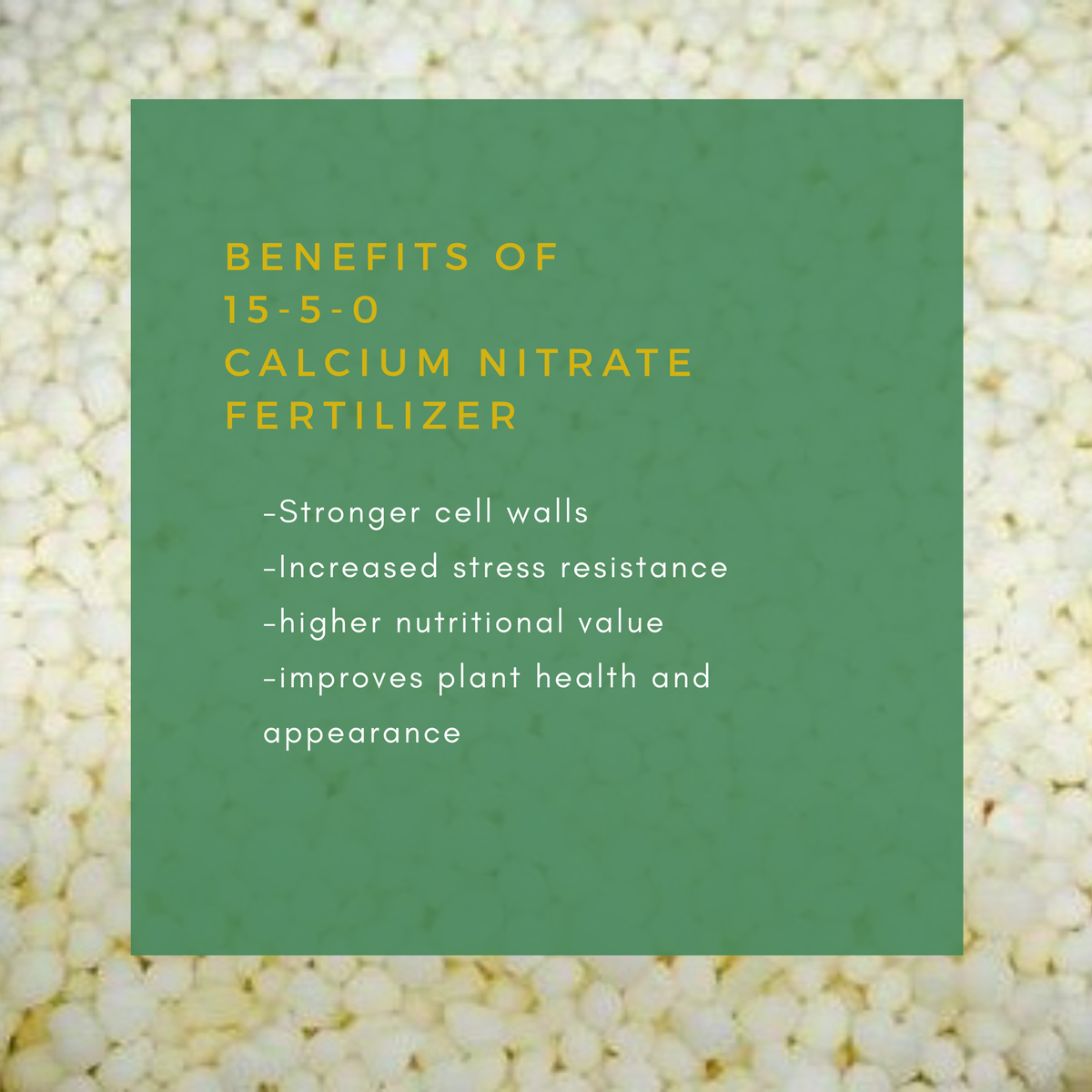 1KG Calcium Nitrate Fertilizer 15-5-0 (Yara) – Agrify